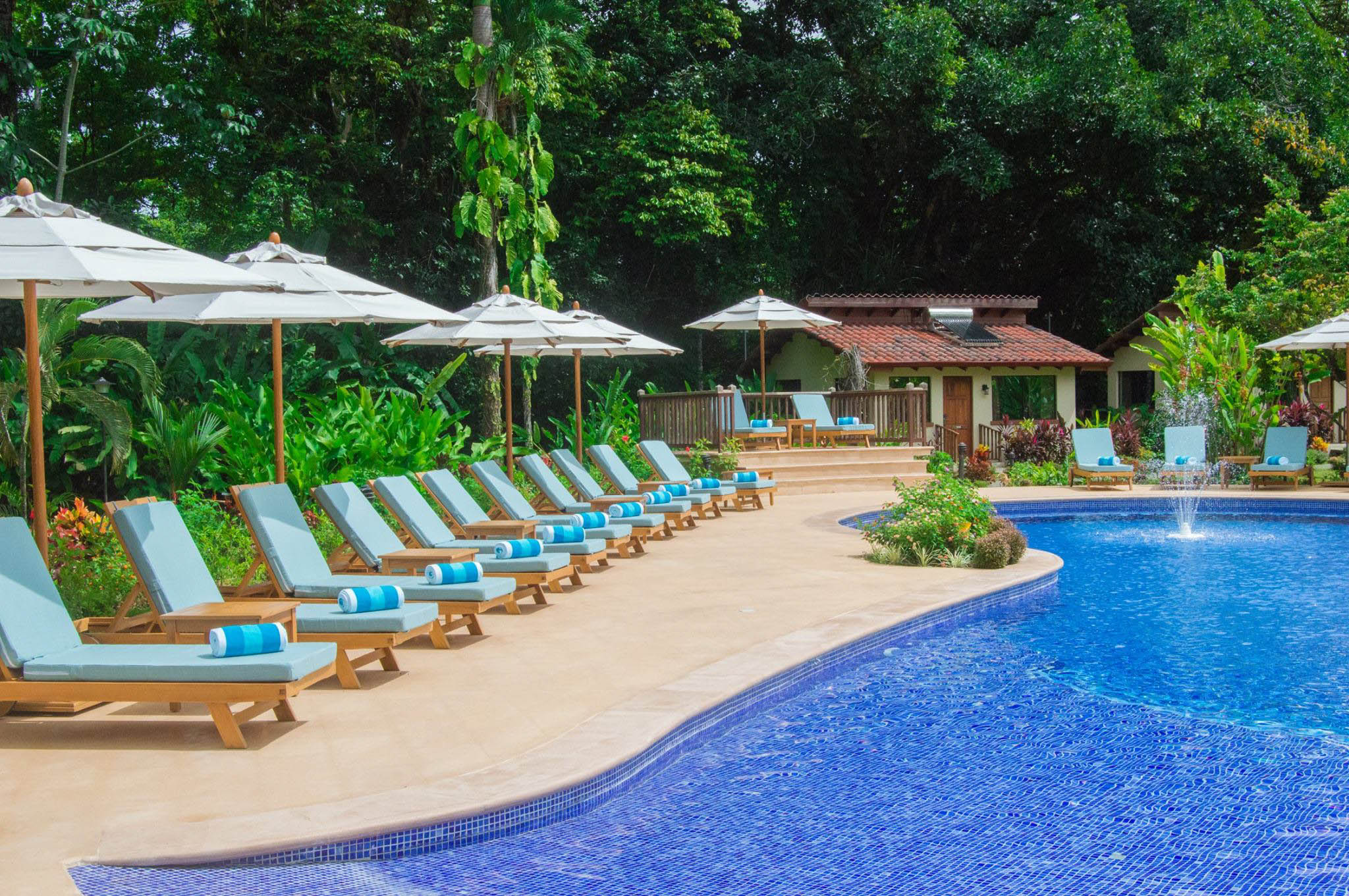 La Foresta Nature Resort: Lujo & Naturaleza en Costa Rica 🌺