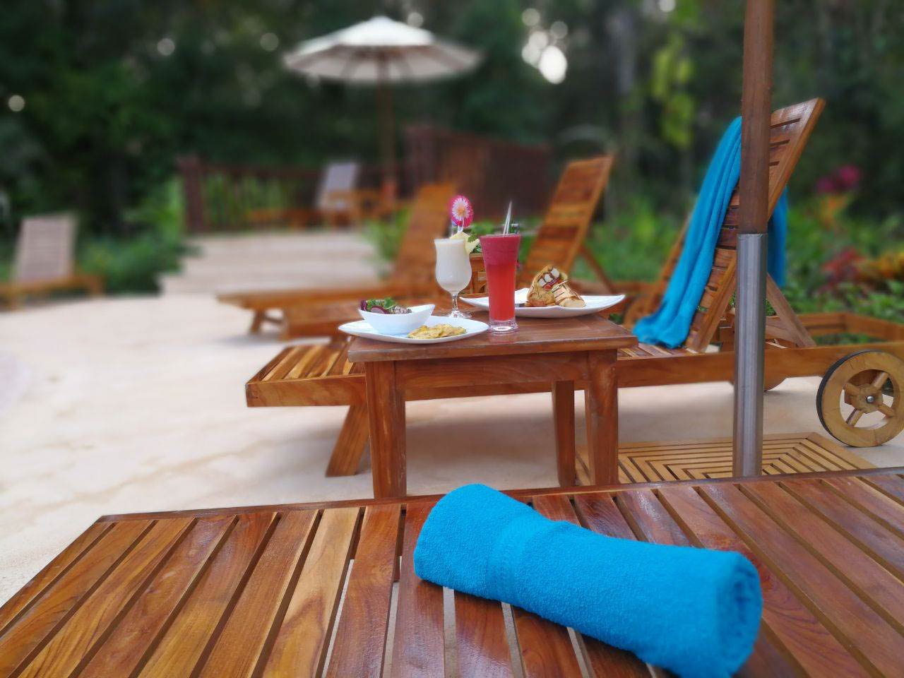 La Foresta Nature Resort: Lujo & Naturaleza en Costa Rica 🌺