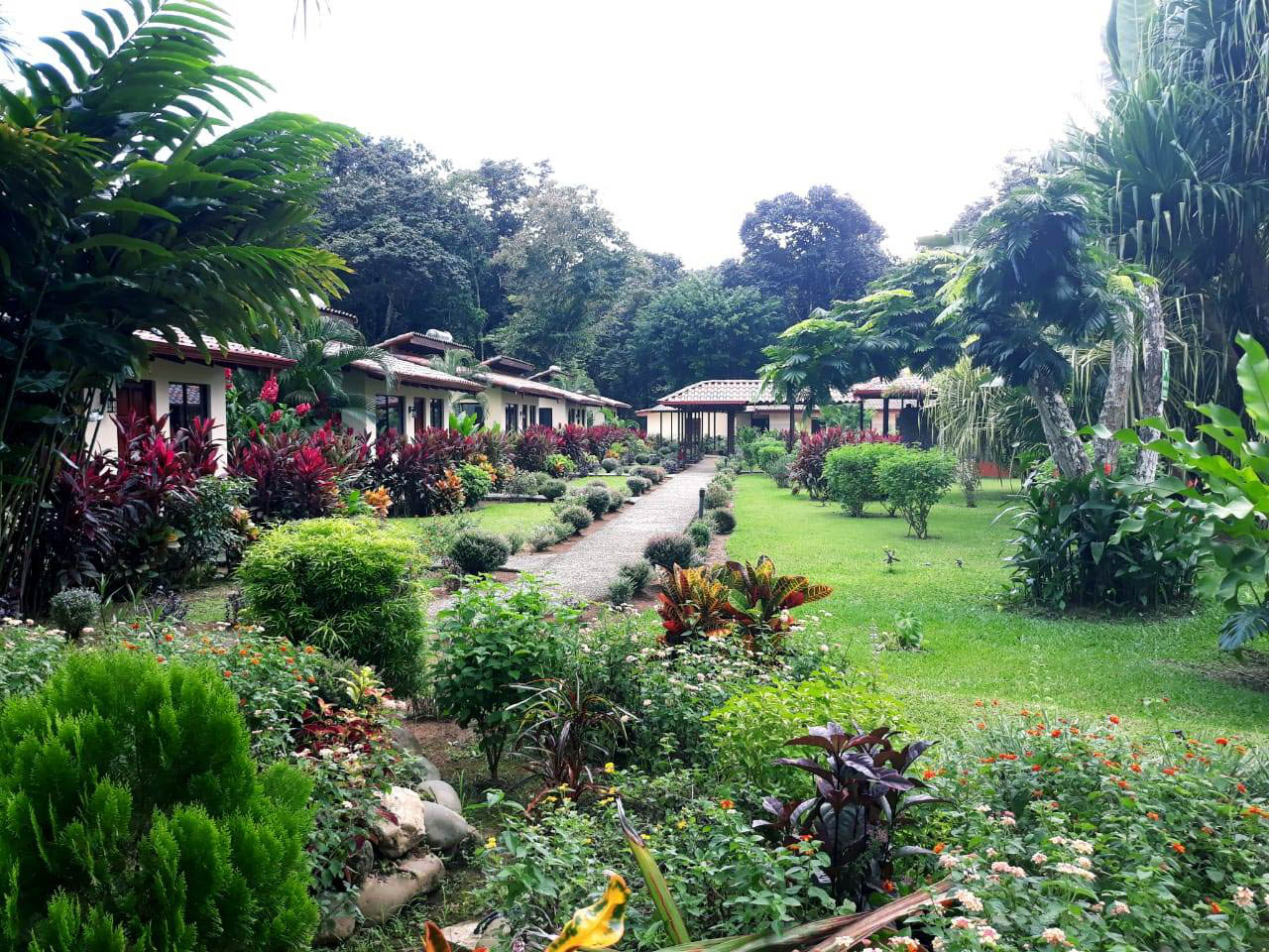 La Foresta Nature Resort: Lujo & Naturaleza en Costa Rica 🌺