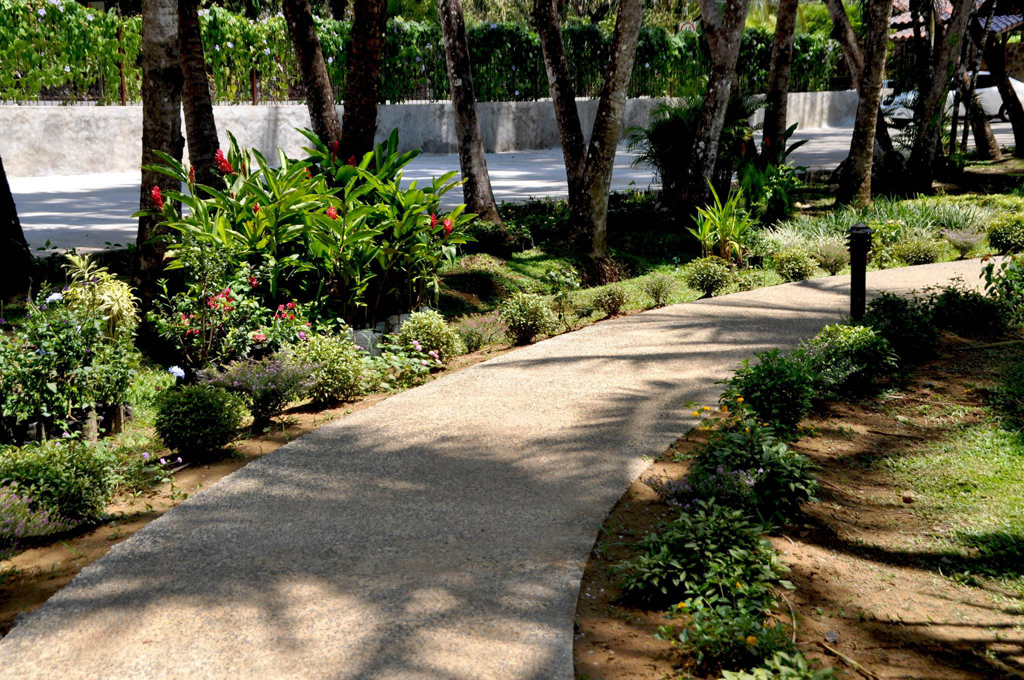 La Foresta Nature Resort: Lujo & Naturaleza en Costa Rica 🌺